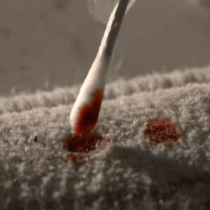 Technology - Pavilion Integration Corp